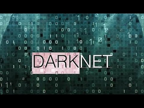 Dark Net | Dark Web | Cyber Bird Demo Video - YouTube