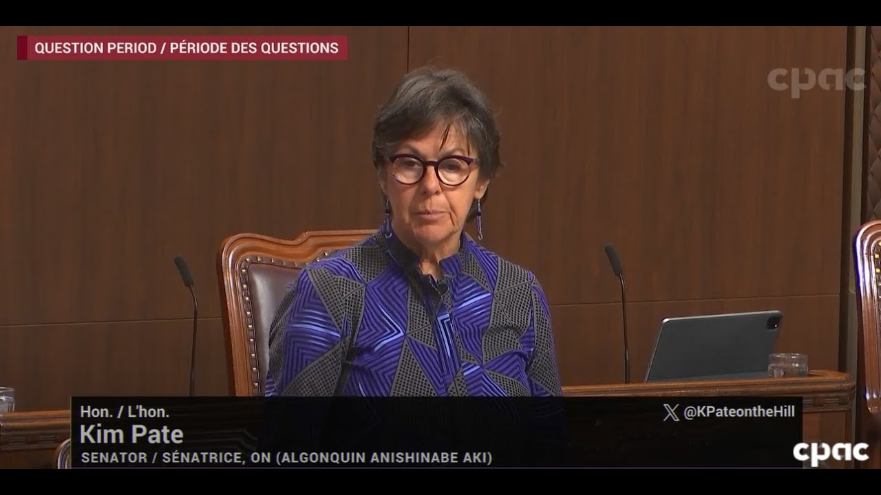 Question to the Government about Parental Alienation Accusations ...