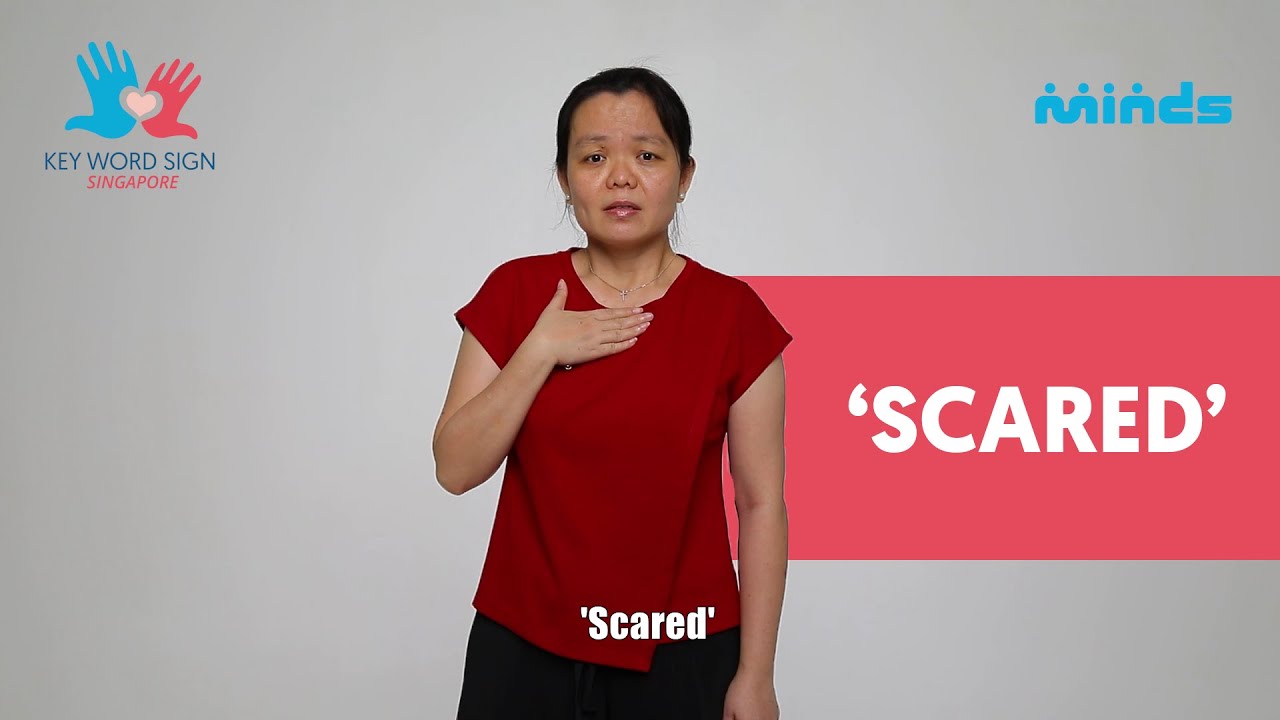 Key Word Sign (Singapore) - Let's Learn Together! #32 - 'Scared' - YouTube
