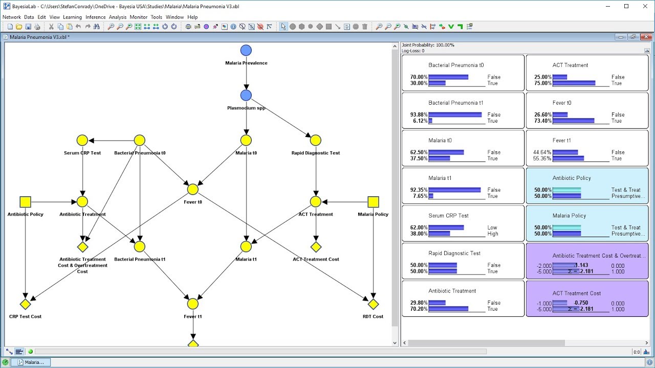 Bayesian Networks for Health Economics and Public Policy Research - YouTube