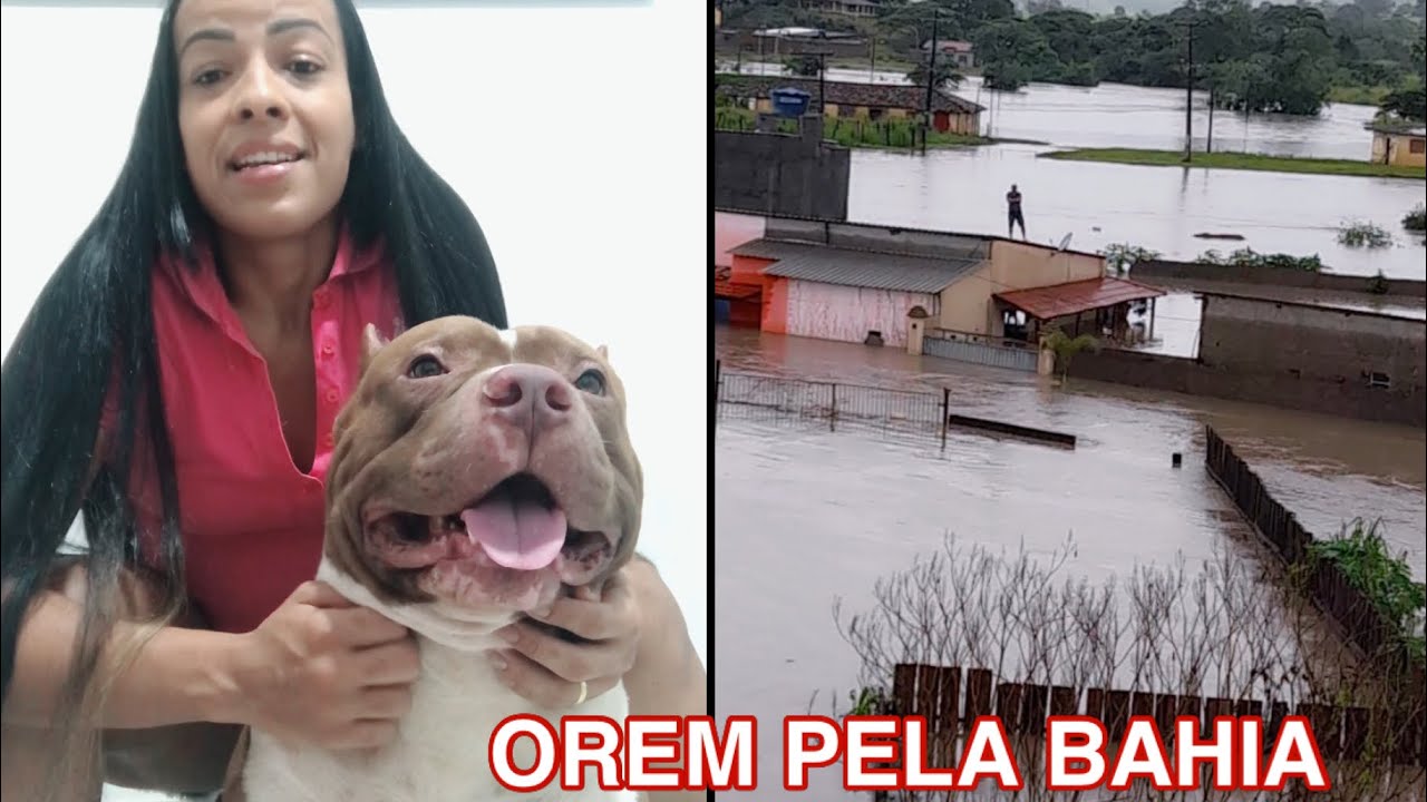 A Bahia pede socorro (a enchente chegou na nossa cidade) - YouTube