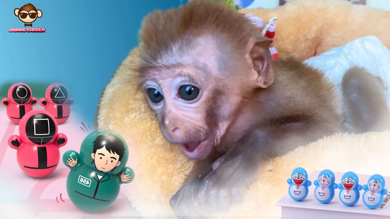 Baby Monkey PaPi Plays With Tiny Toys By The Cozy Bed - YouTube