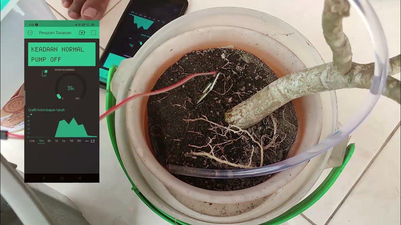 Siraman: Sistem Penyiram Tanaman Otomatis Berbasis IOT dengan NodeMCU ...