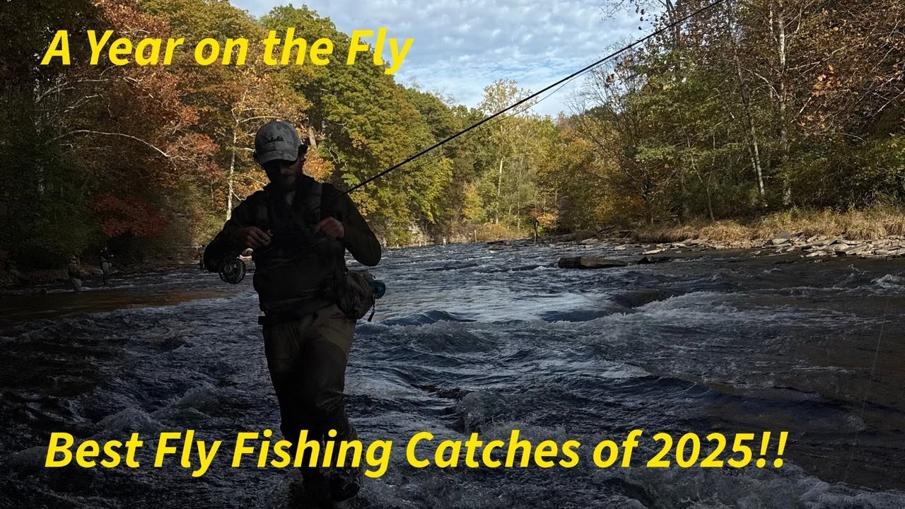 A Year on the Fly | Best Fly Fishing Catches of 2025!! - YouTube