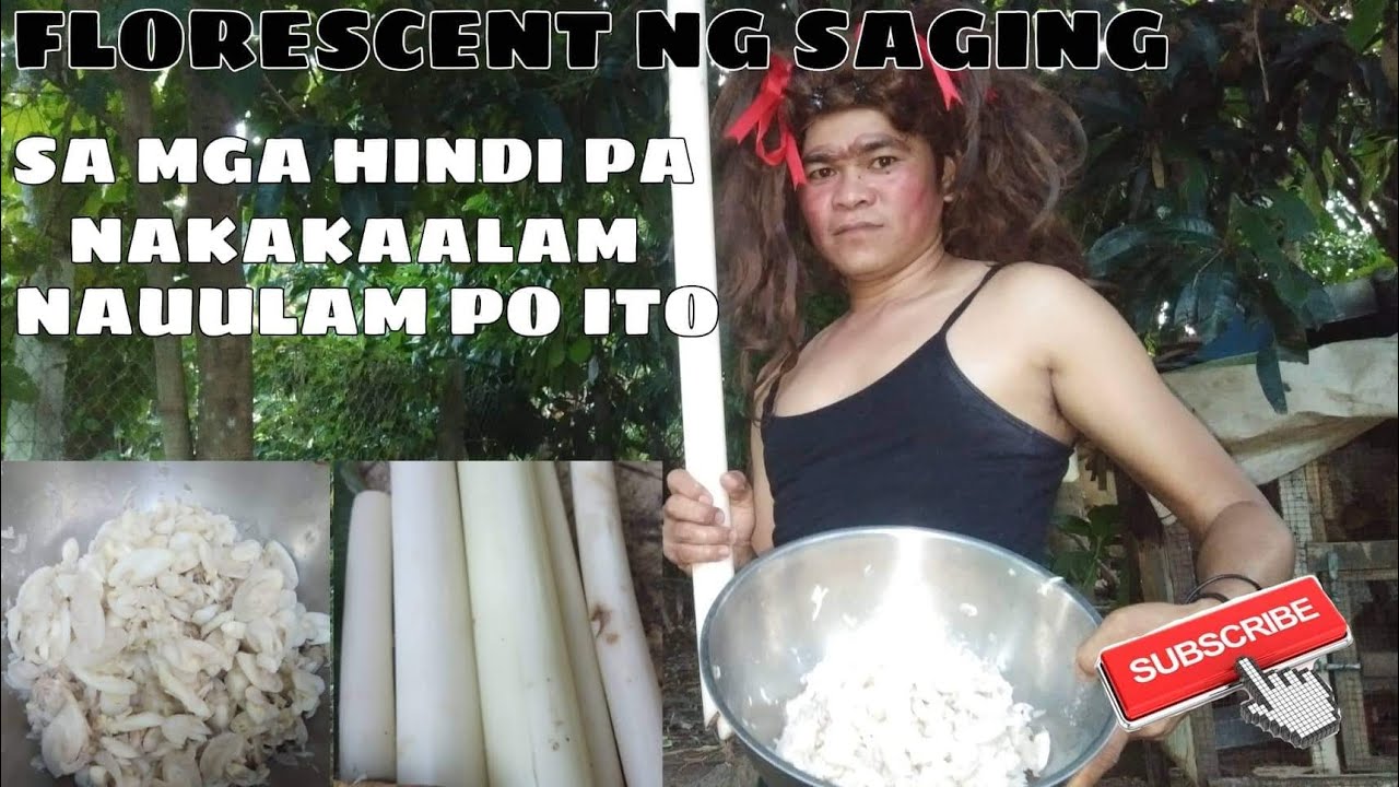 SA MGA HINDI PO NAKAKAALAM NAKAKAIN PO ANG TINATAWAG NILANG FLORESCENT NG SAGING | KA CHAKA TV ...