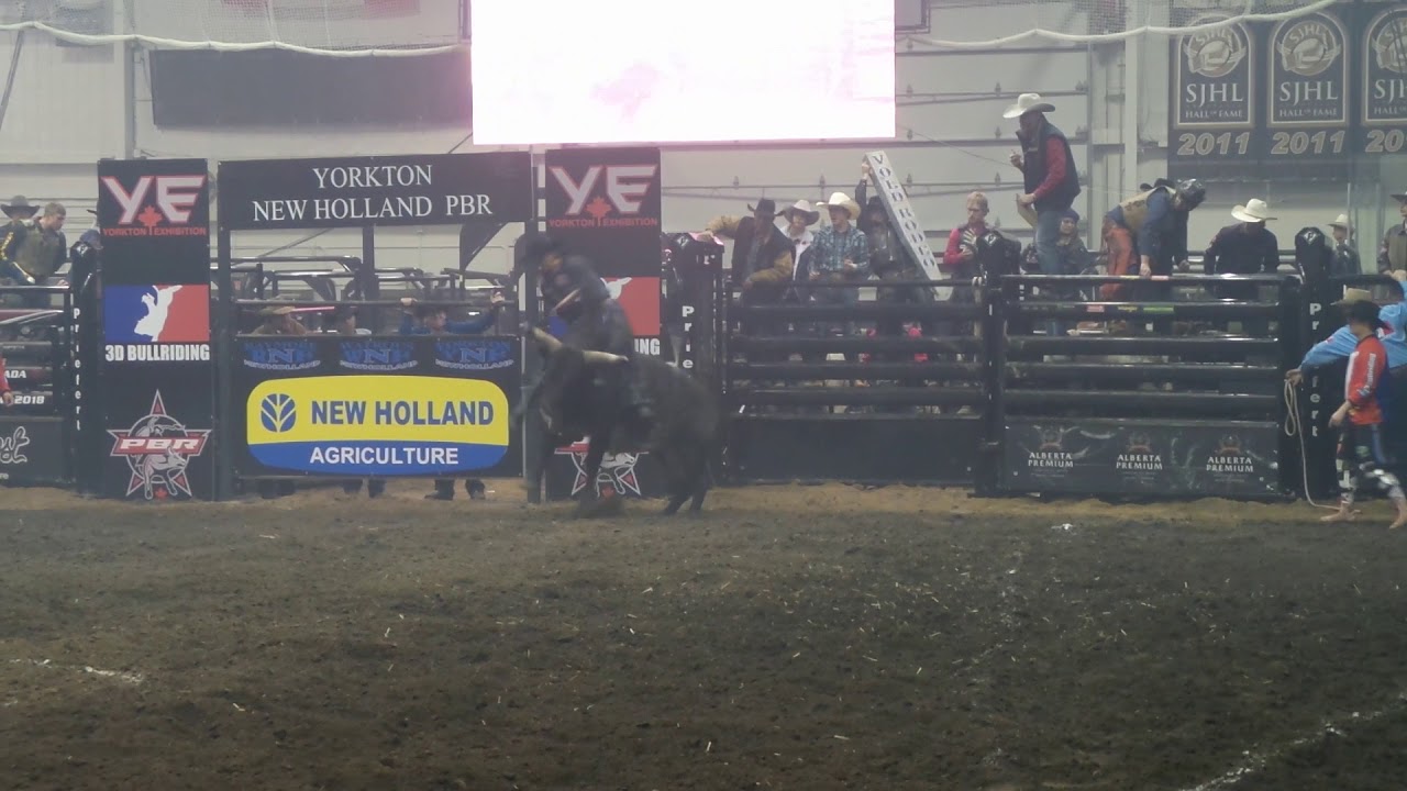 Edgar Durazo rides Hookasaurus for 84.5 points (PBR) - YouTube