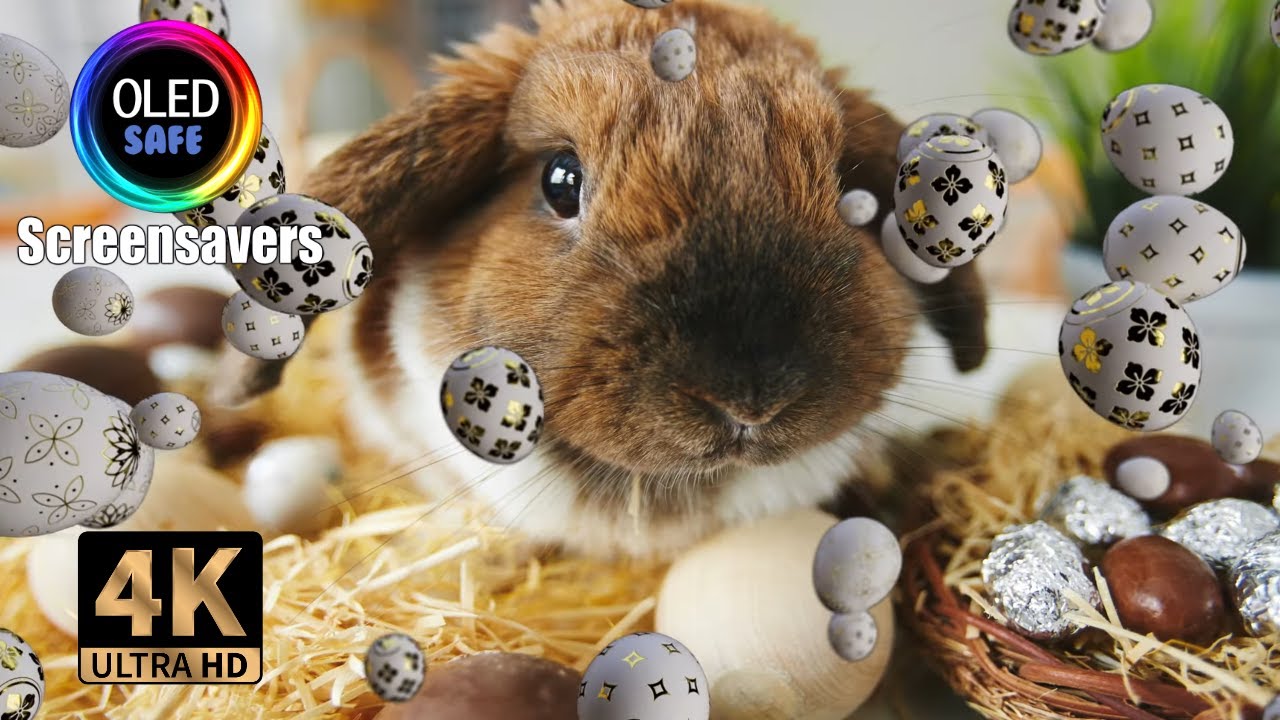 Easter Bunny Screensaver - 10 Hours - 4K - OLED Safe - No Burn-in - YouTube