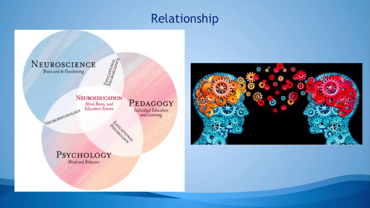 Neuroscience Psychology