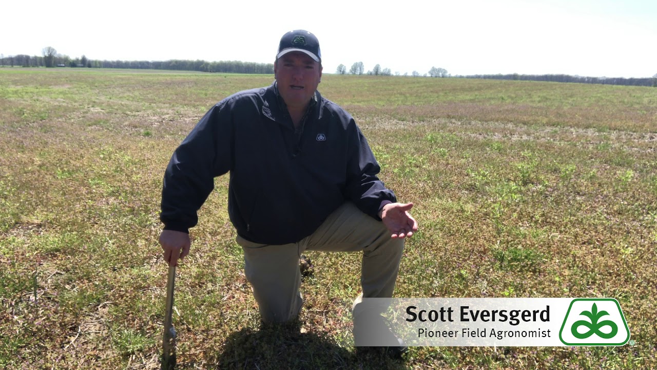 Prepping Fields for Planting - YouTube