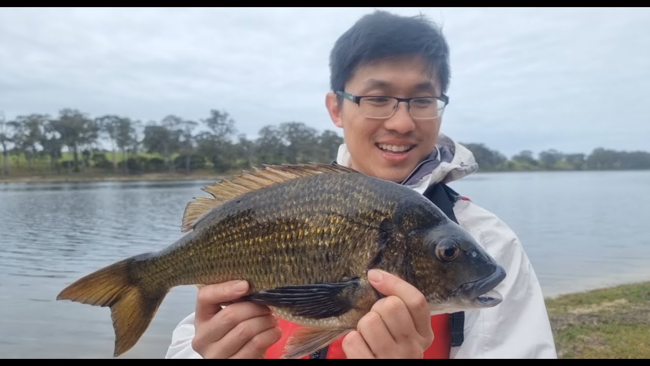 Bryan cracks a PB Bream! Back to the motherland at Lake Tyers - YouTube