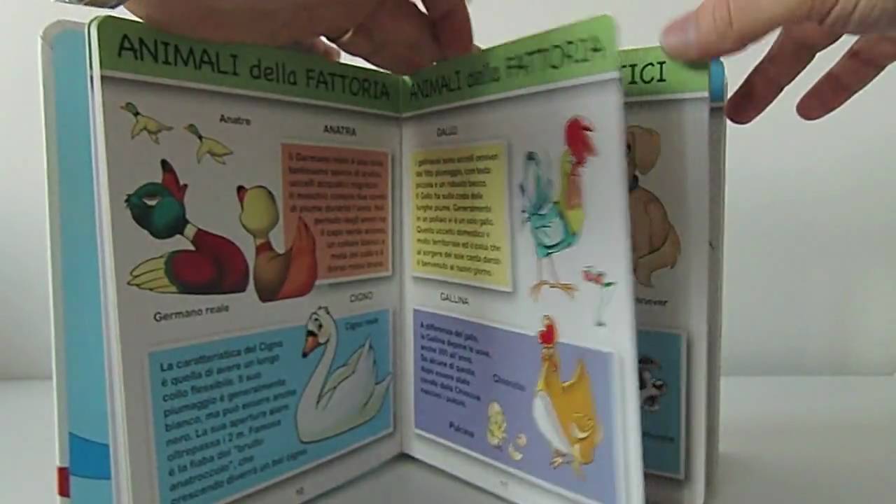 My first book of Animals - YouTube