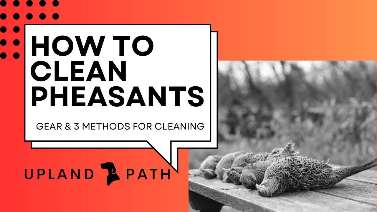 How to clean a pheasant - 3 Methods | Upland Path #hunting - YouTube