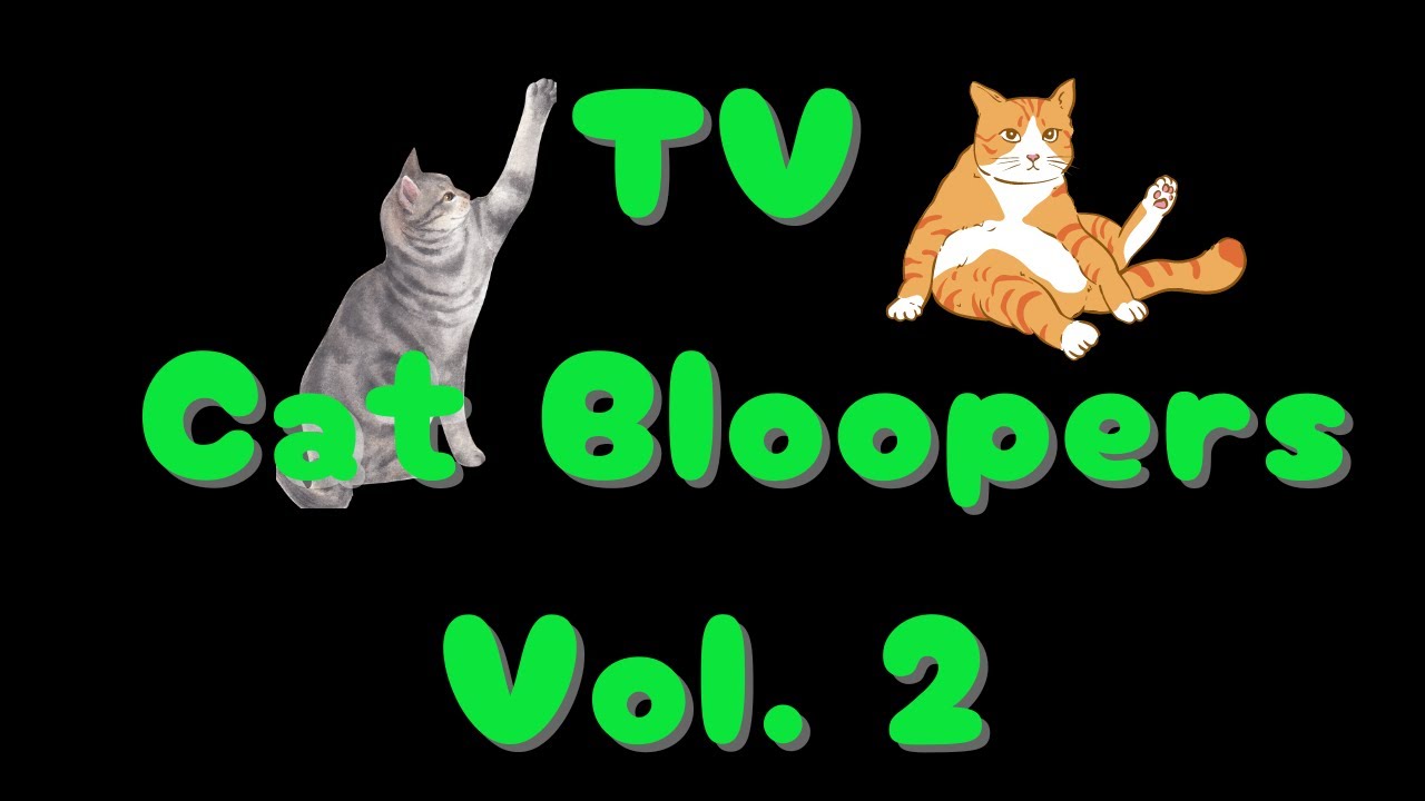 Hilarious Cat Blooper's Vol 2 - YouTube