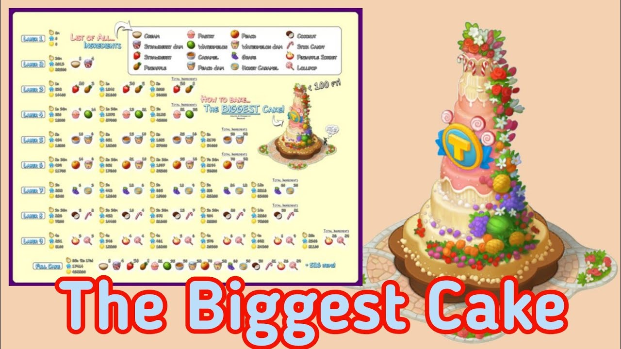 TOWNSHIP BIGGEST CAKE - YouTube