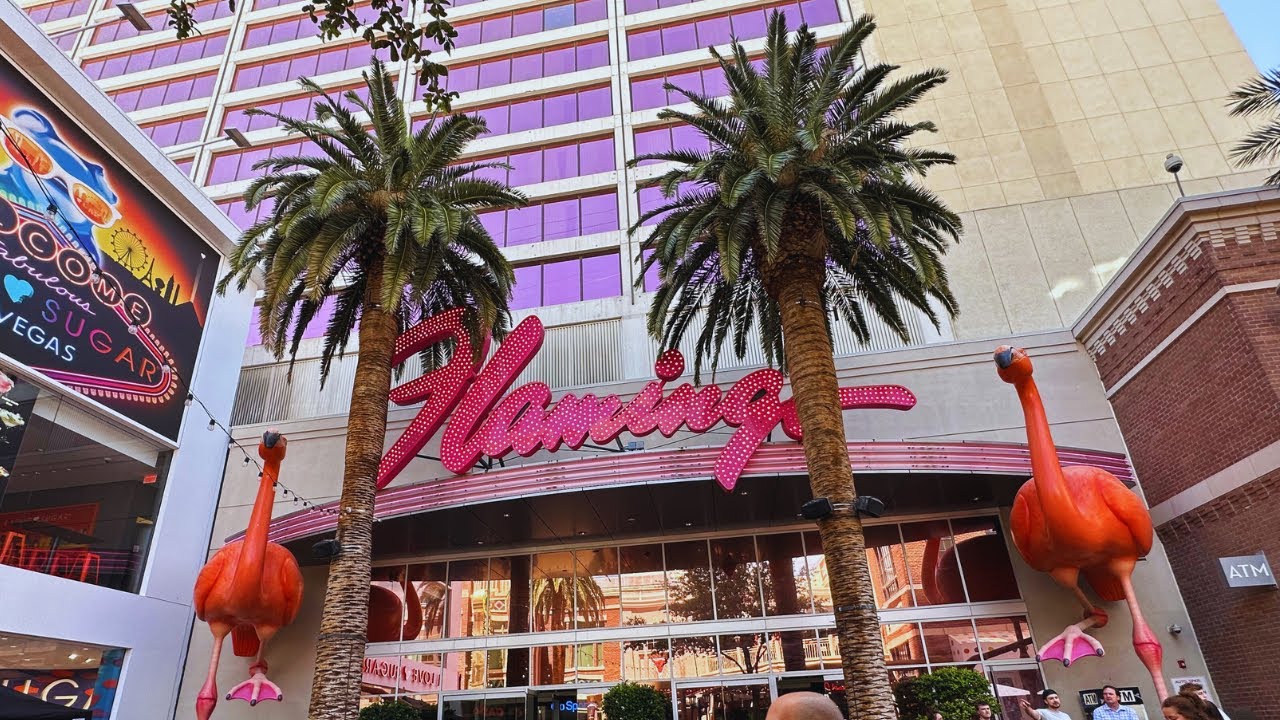 Flamingo Hotel || Flamingo Wildlife Habitat || Las Vegas Hotel - YouTube