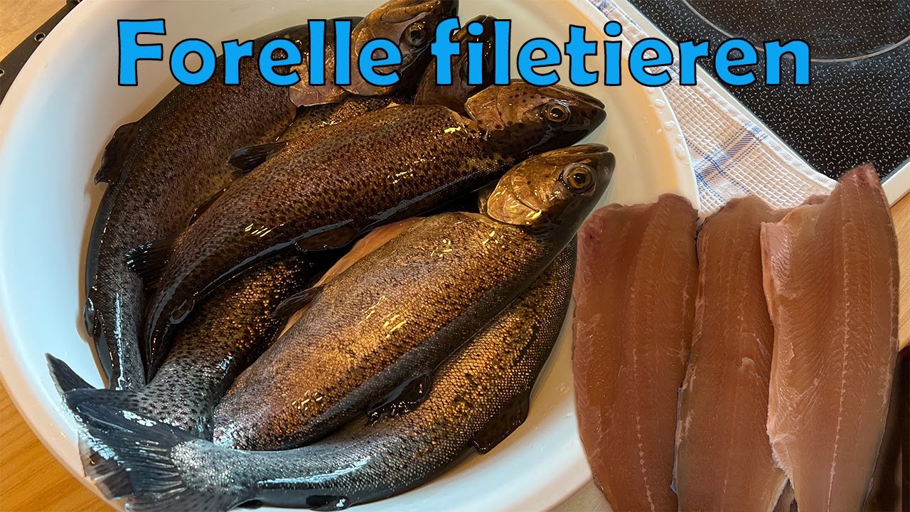 Forelle filetieren - How I fillet a trout - Tutorial - 4K - YouTube
