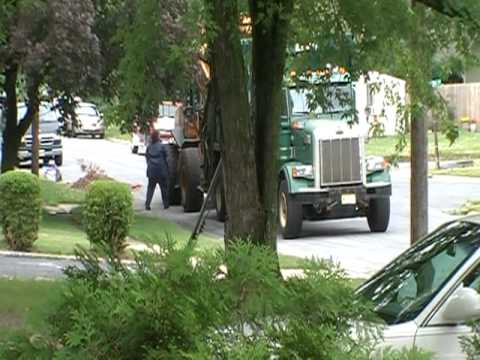 Case Tink Claw - YouTube