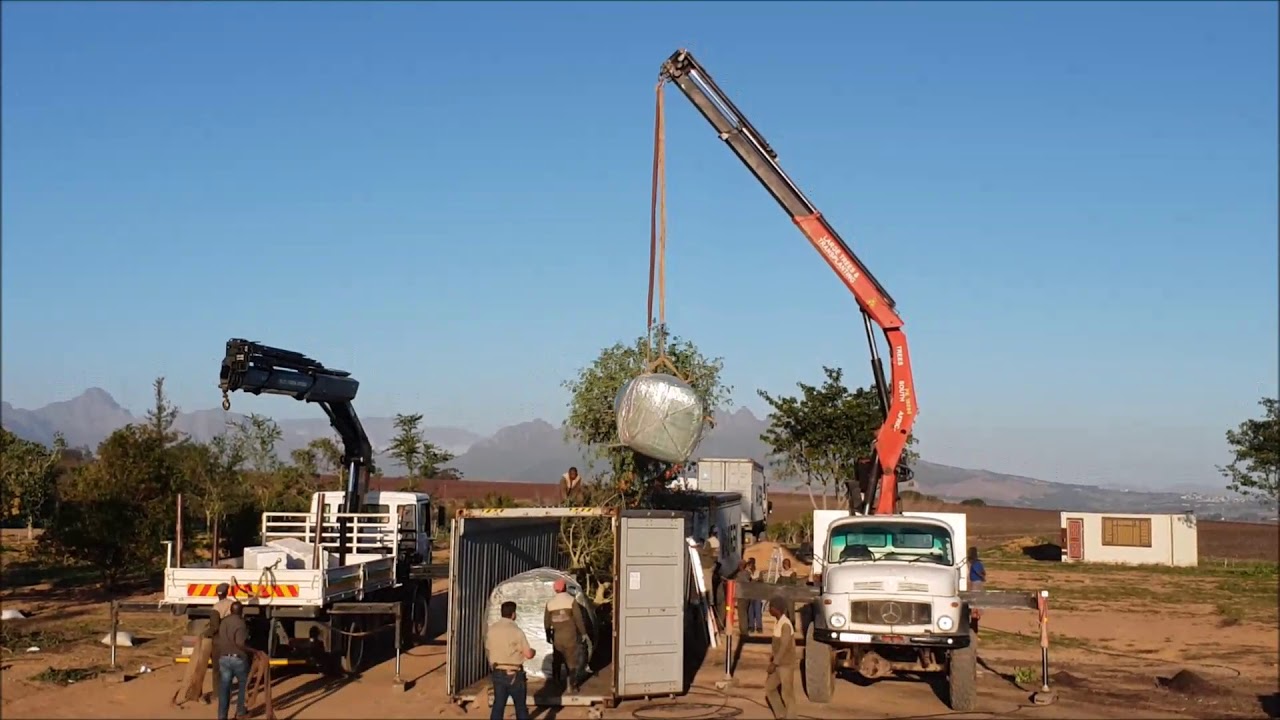 Trees SA - Loading very big trees into shipping containers - YouTube