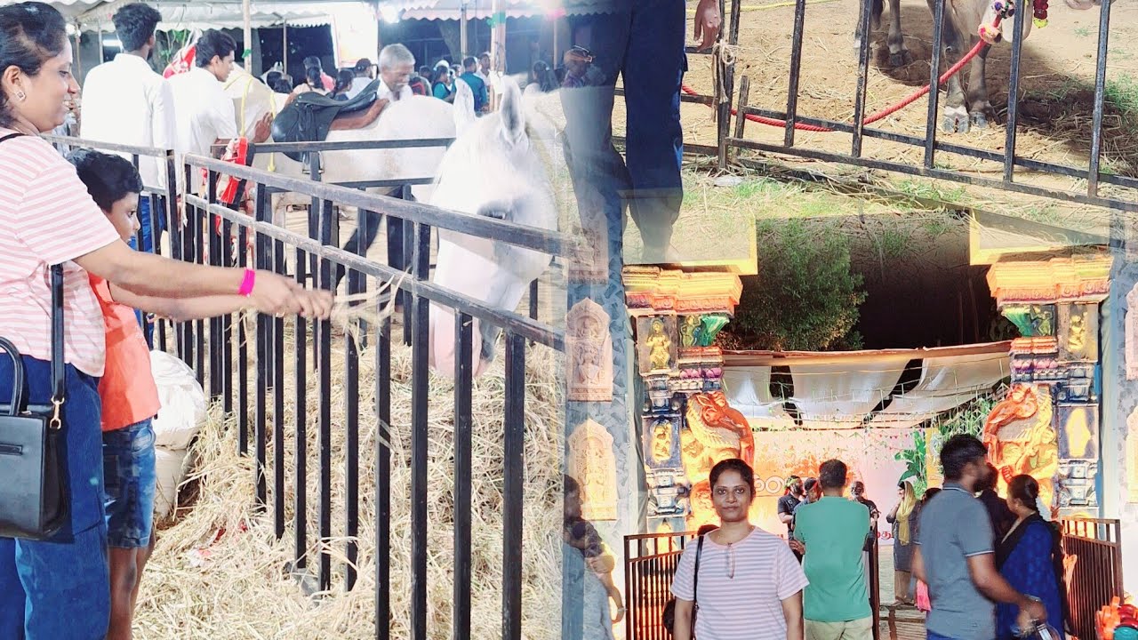 கிராமத்து திருவிழா in Chennai | YMCA Ground Nandhanam | 28th n 29th ...