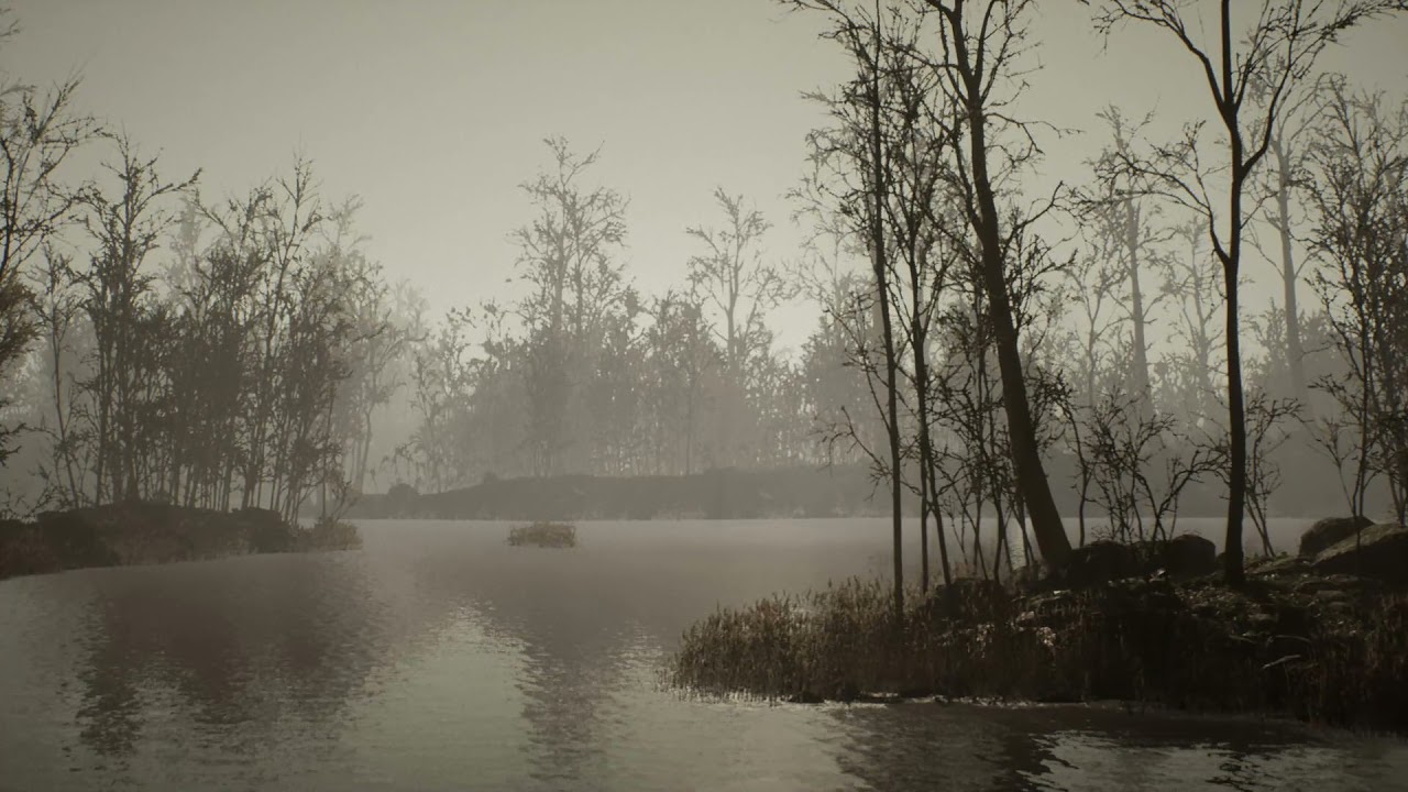 Free Stock Videos - swamp scene with trees water fog mist 3D animation ...