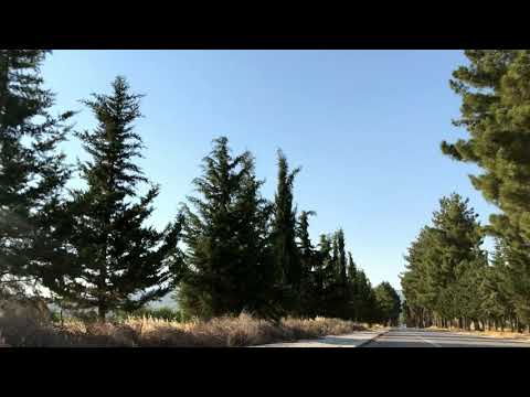 TOFAŞ Doğan_SLX-20ABB424