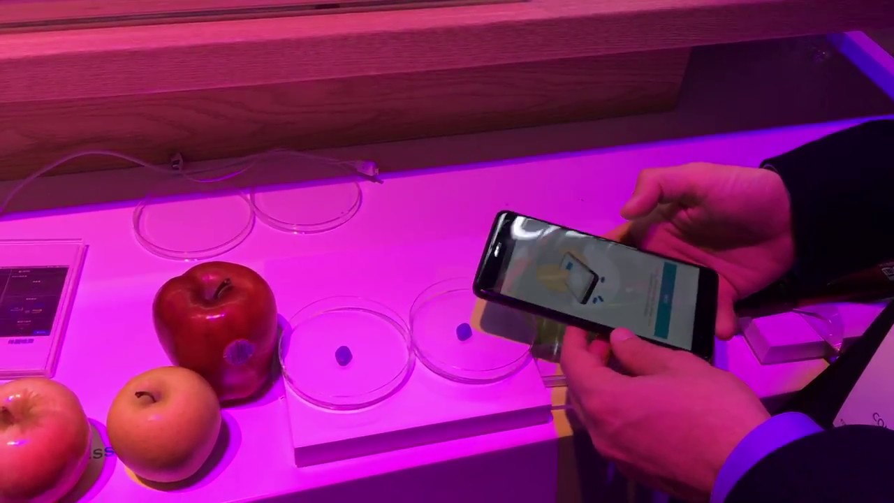 Changhang H2 Smartphone with SCiO Spectrometer Demo - YouTube