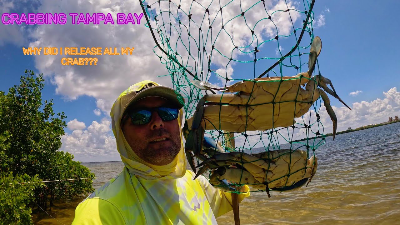 First time catching big blue crab in Tampa Bay. Location reveal and why ...