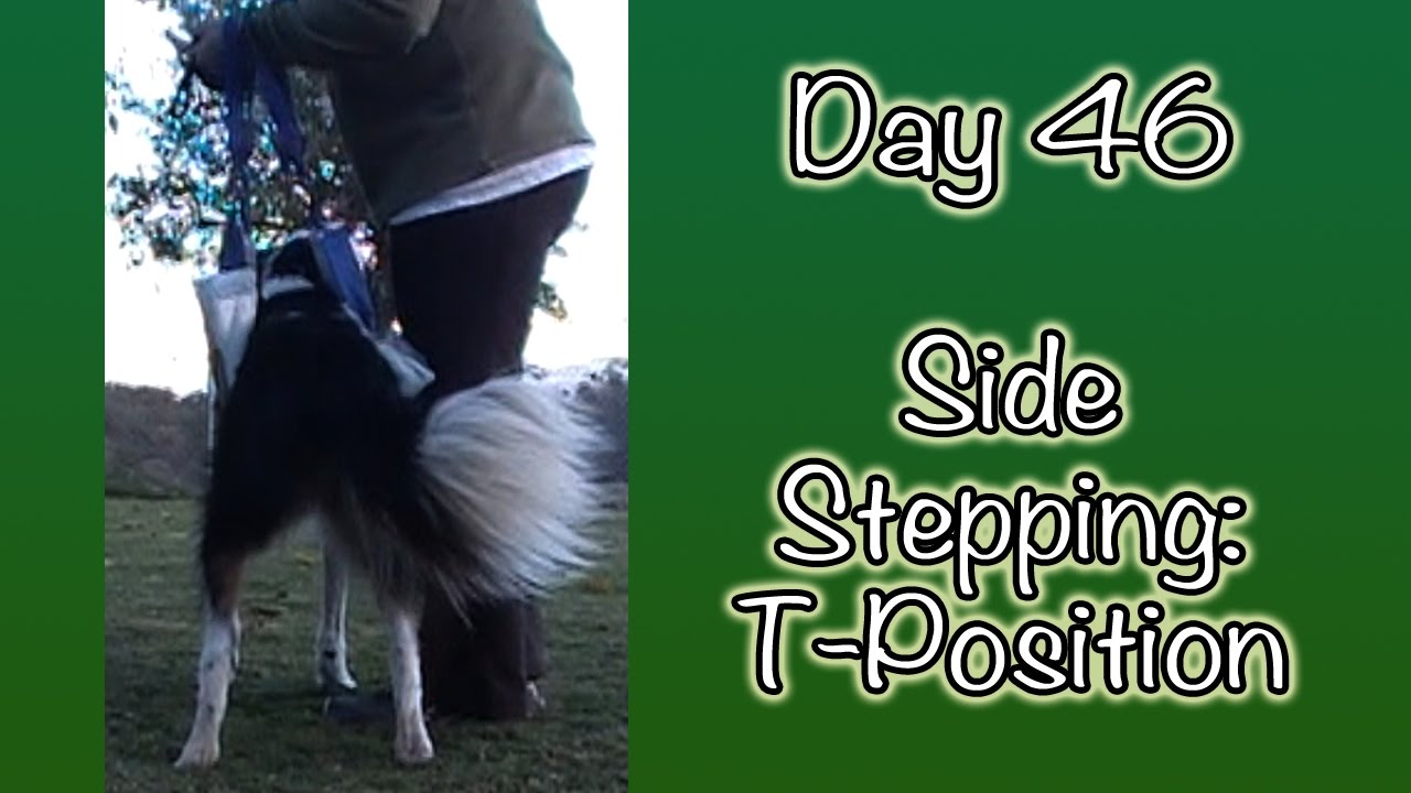 Day 46: Side Stepping in the T-Position - YouTube