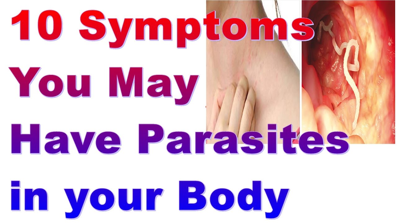 10 Symptoms You May Have Parasites in your Body -and how to remove them ...
