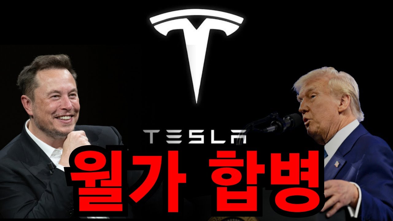 테슬라 월가 합병 테슬라 테슬라주가 테슬라주가전망 테슬라주식 테슬라전망 일론머스크 테슬라관련주 Ai관련주