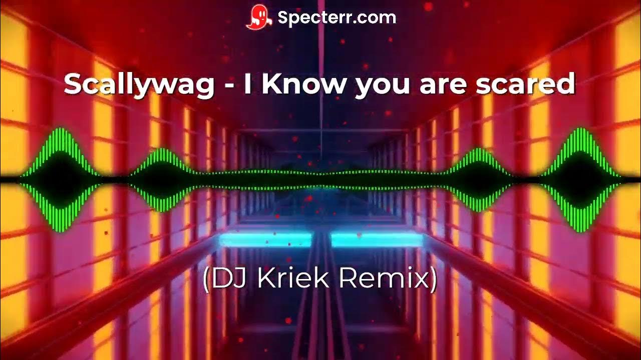 Scallywag I Know You Are Scared DJ Kriek Remix YouTube Music scallywag-i-know-you-are-scared-dj-kriek-remix-youtube-music