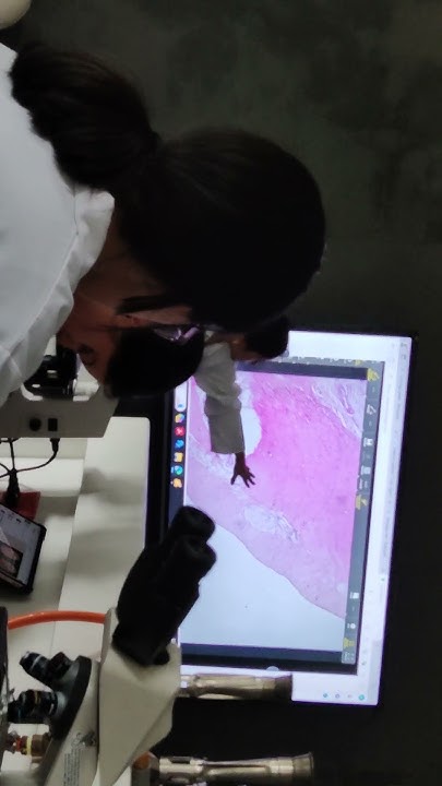 Morfo 2- histologia- parte 1 - semana 3 - YouTube