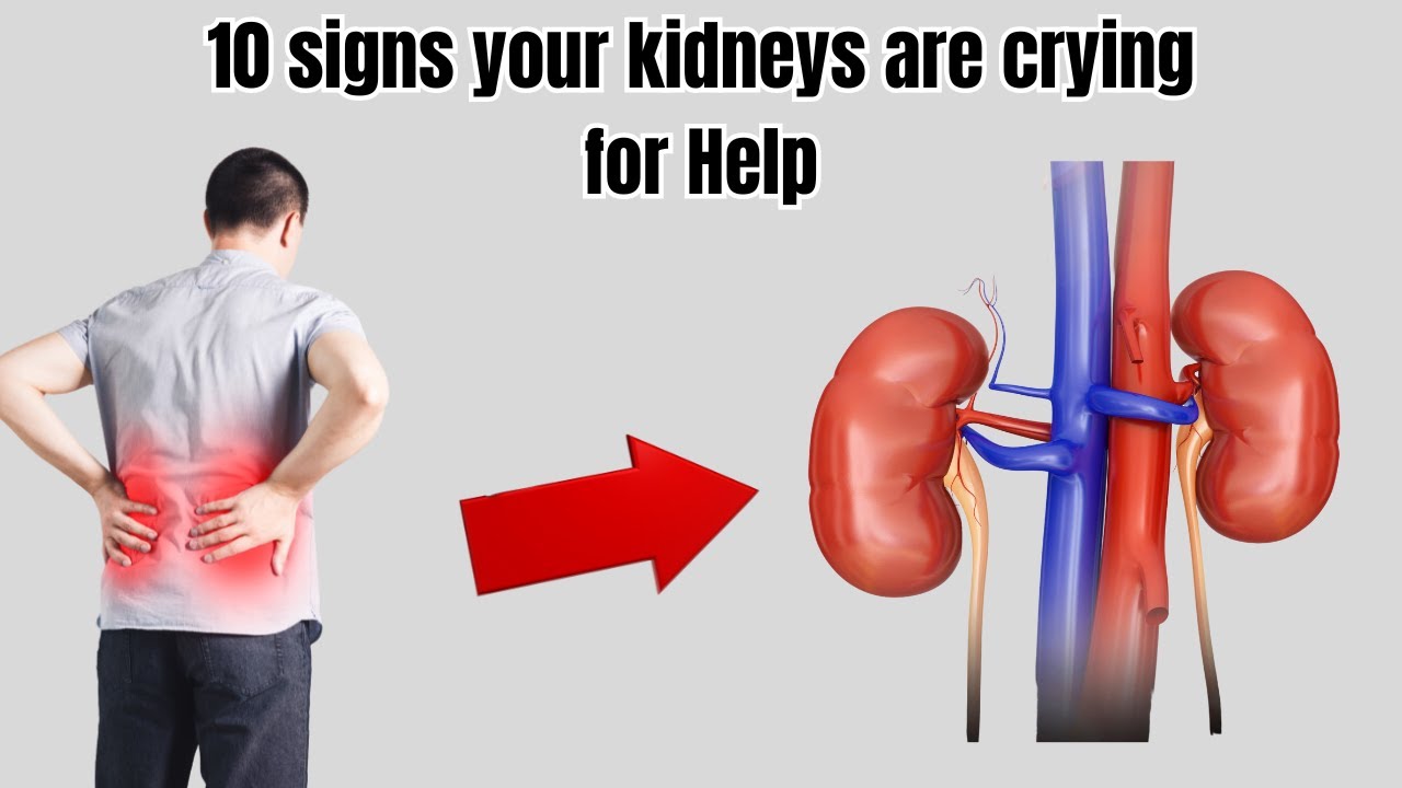 10 Signs your Kidneys are crying for Help/ Foods to Heal Your Kidneys ...