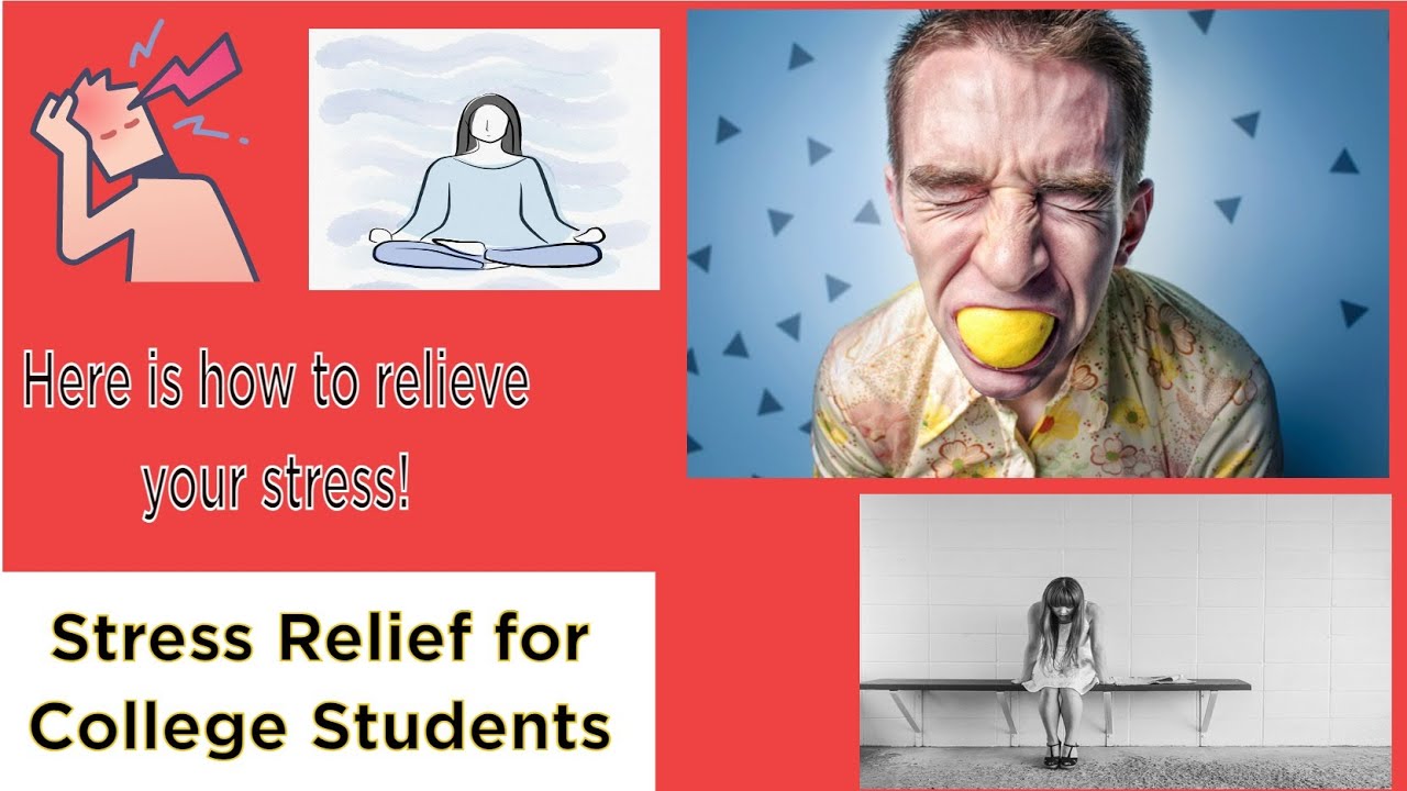 Stress Relief Activities For College Students - Watch this video to ...