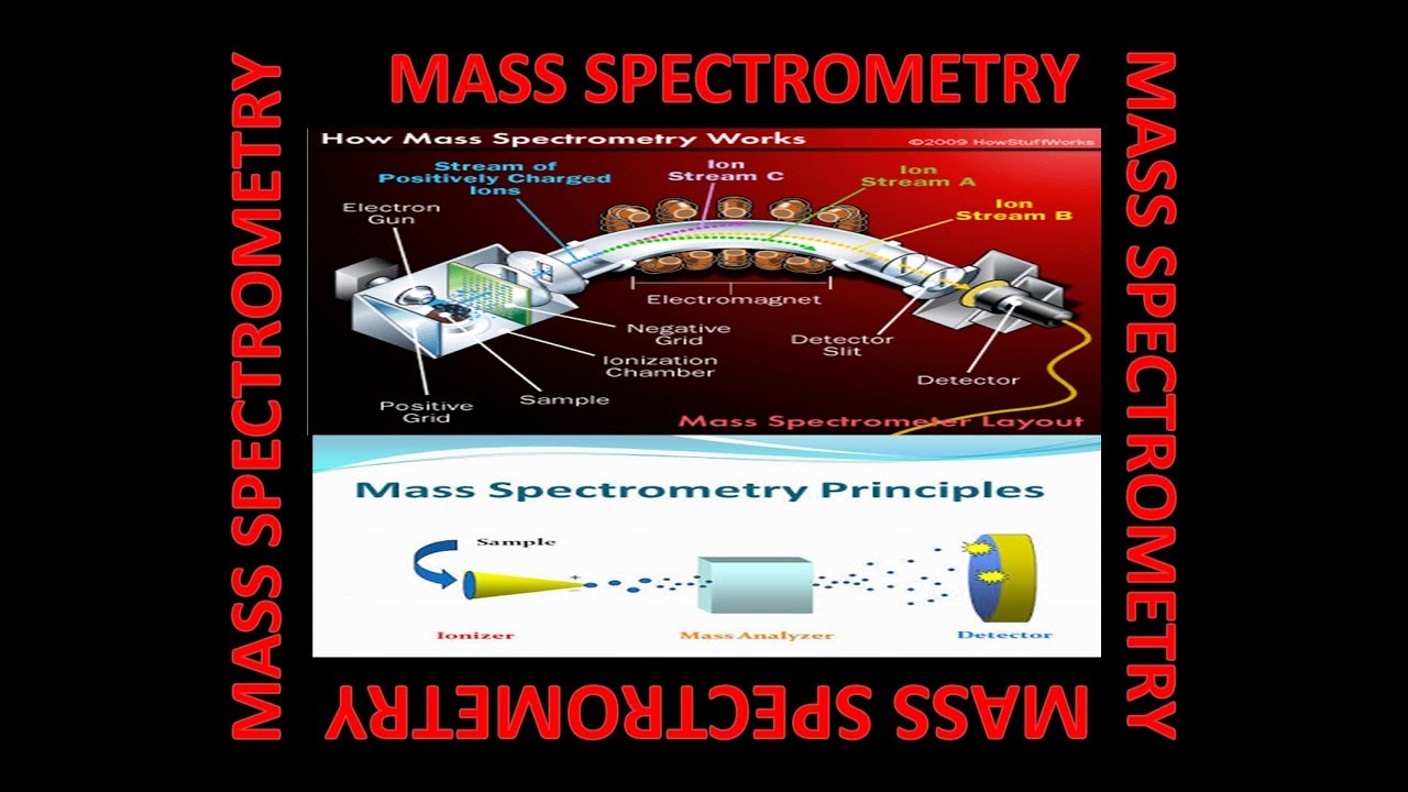 Mass Spectrometry (easy notes) - YouTube