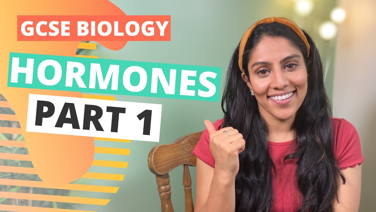 Hormones & the Endocrine System (Part 1) | GCSE/ IGCSE Biology - YouTube