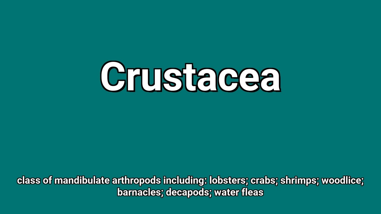 Subphylum Crustacea Pronunciation