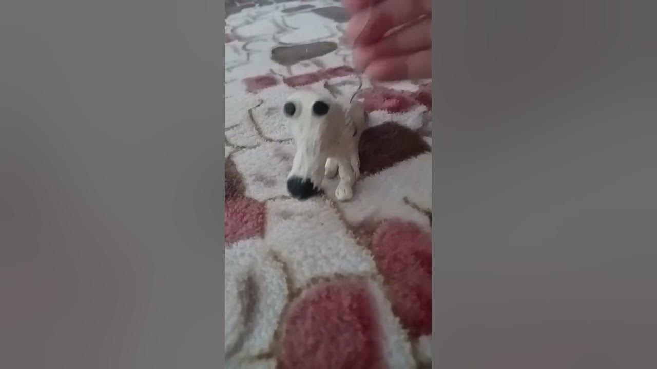собака с длинным носом Youtube