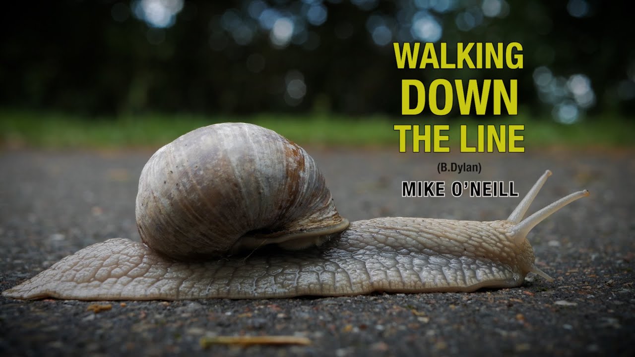 Walking Down The Line - Mike O'Neill - YouTube