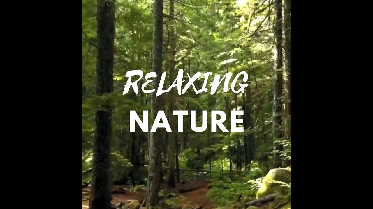RELAXING NATURE - YouTube
