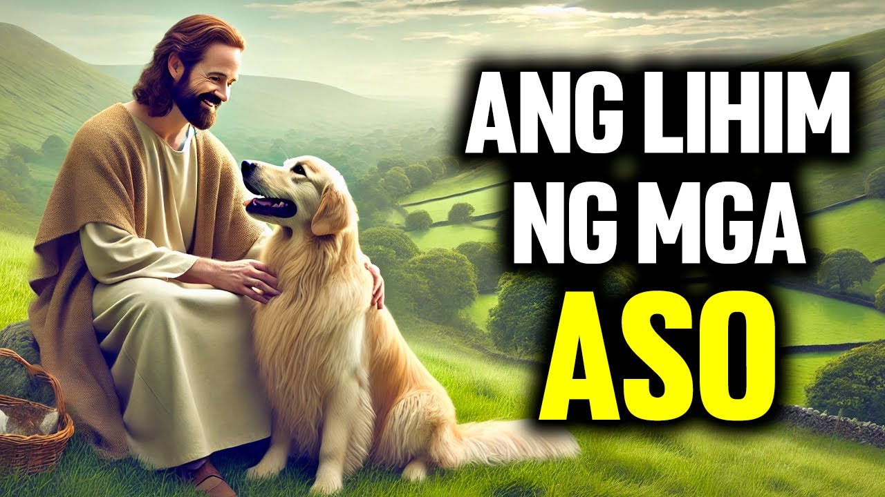Ang Aso ba ay isang Espirituwal na Nilalang? ANG NAKATAGONG KATOTOHANAN ...