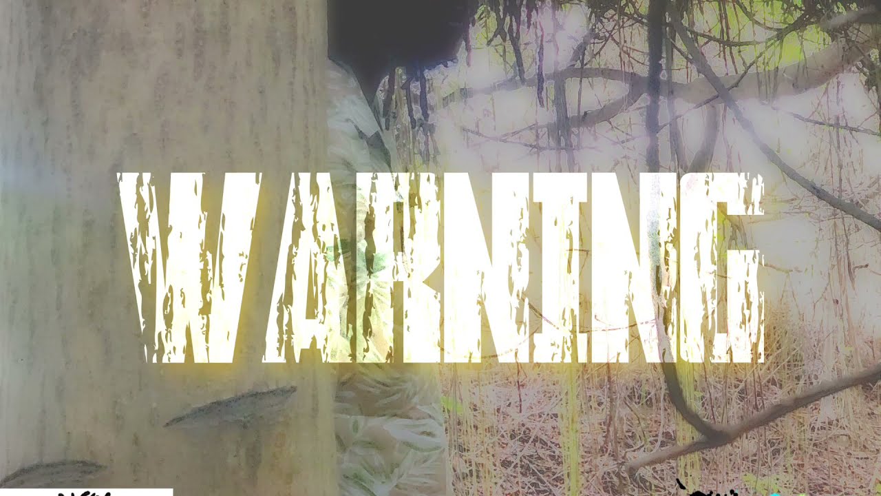 Toine - Warning (Warning Riddim) - YouTube