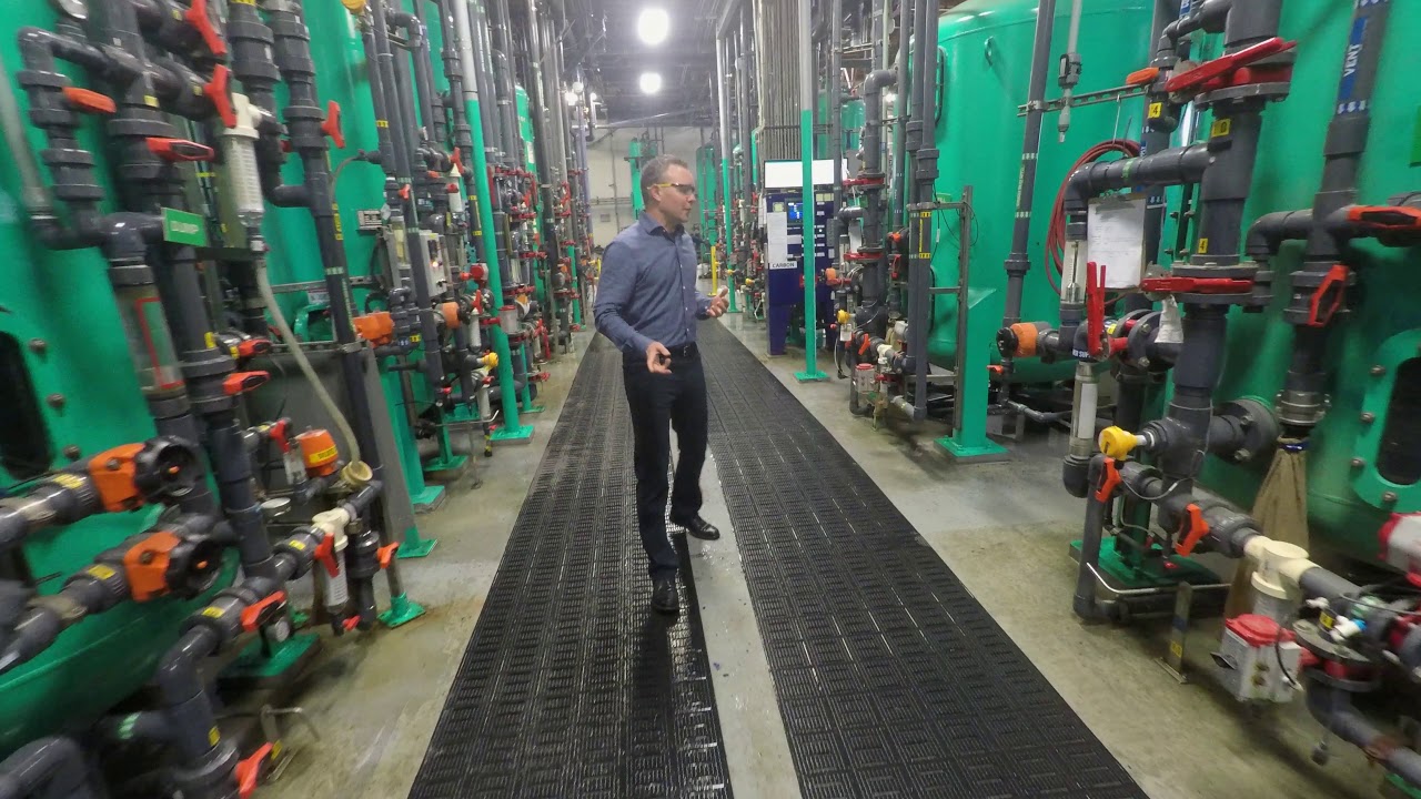 Puretec Plant Regeneration Tour - YouTube