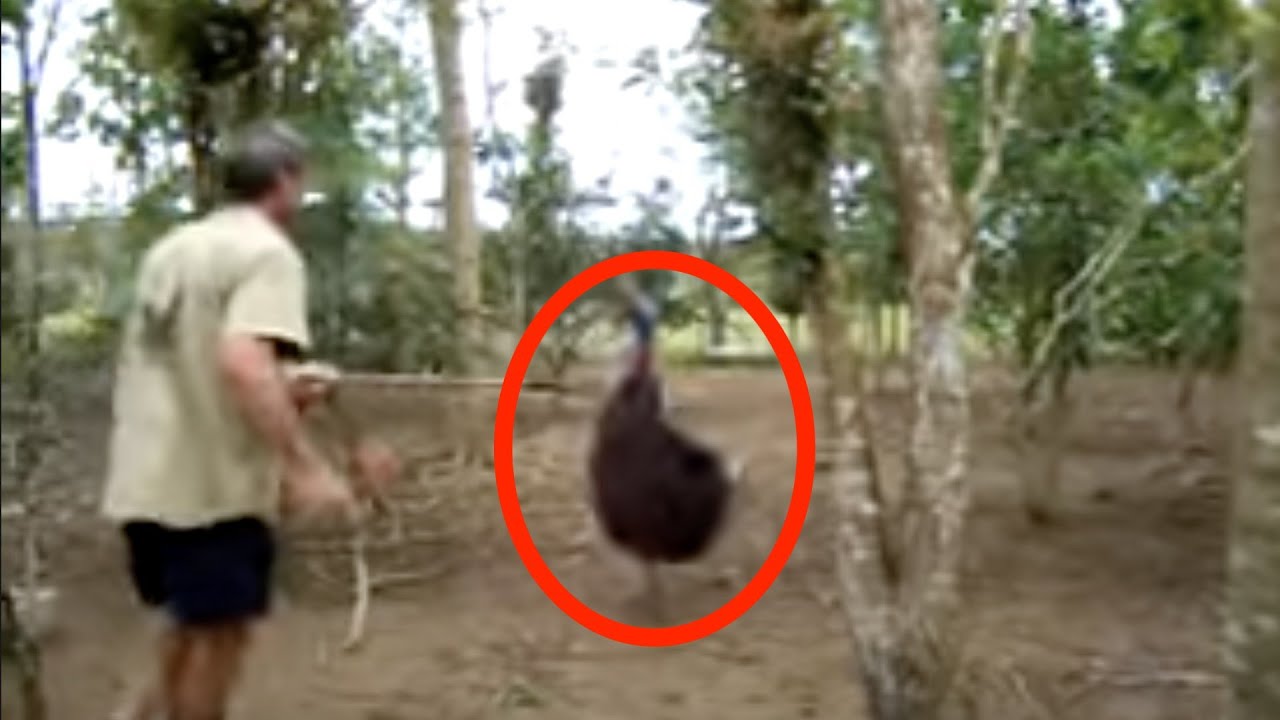 Scary Videos That Will Definitely Freak You Out - YouTube