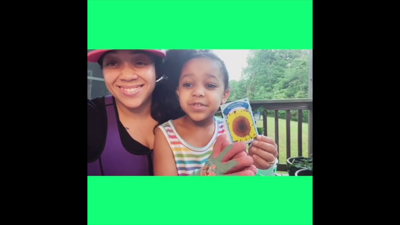 Sunflower Art with Mrs.Kelly & Skylar! - YouTube