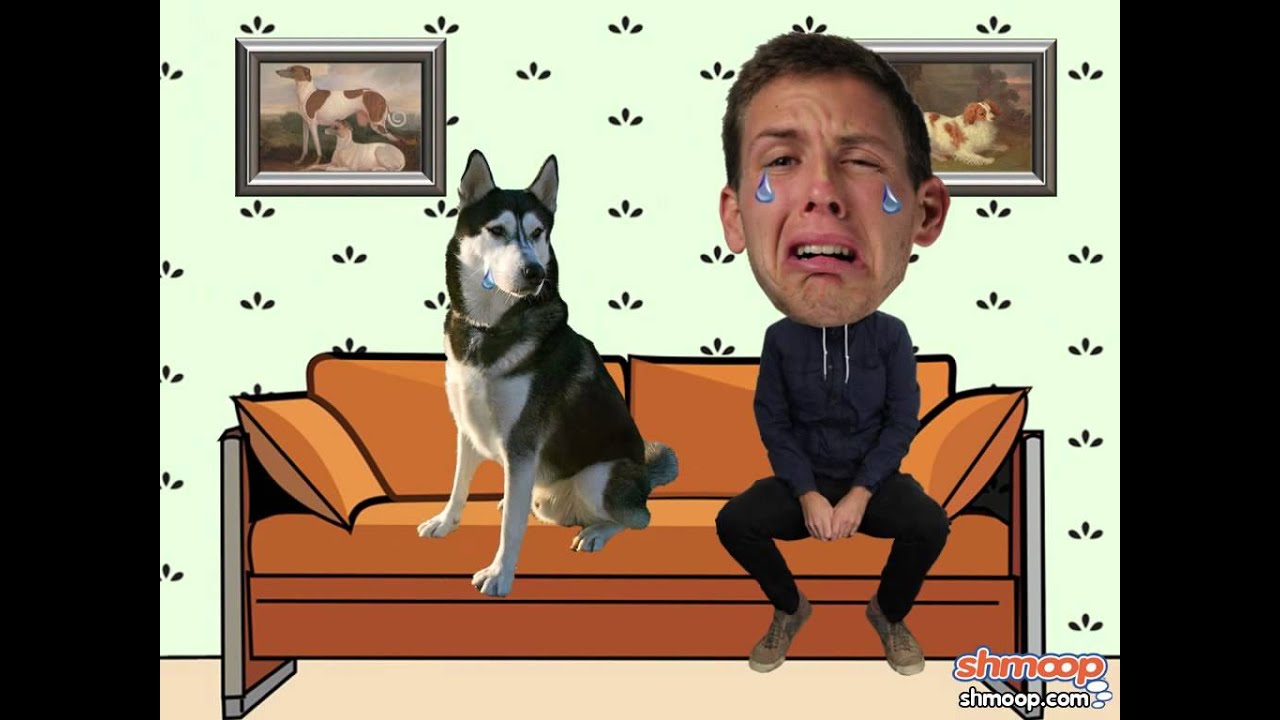 Call of the Wild by Shmoop - YouTube