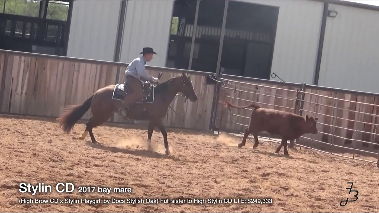 Stylin CD (High Brow CD x Stylin Playgirl by Docs Stylish Oak) - YouTube