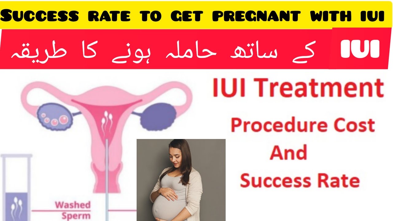 How to get pregnant with IUI| success rate to get pregnant with iui ...