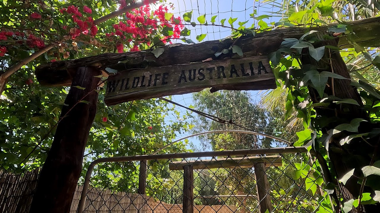 LLoc De Menorca Zoo Spain 4k Walking Tour Best Zoo Must To Be Visited ...