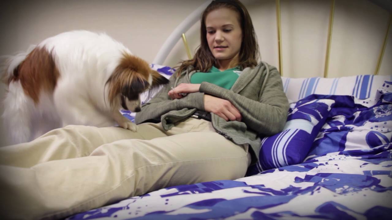 PAWS For Fun - Alarm Clock - YouTube